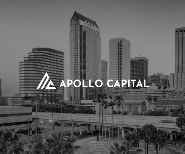 Firma w USA, Wsparcie przedsiębiorców w ekspansji do USA